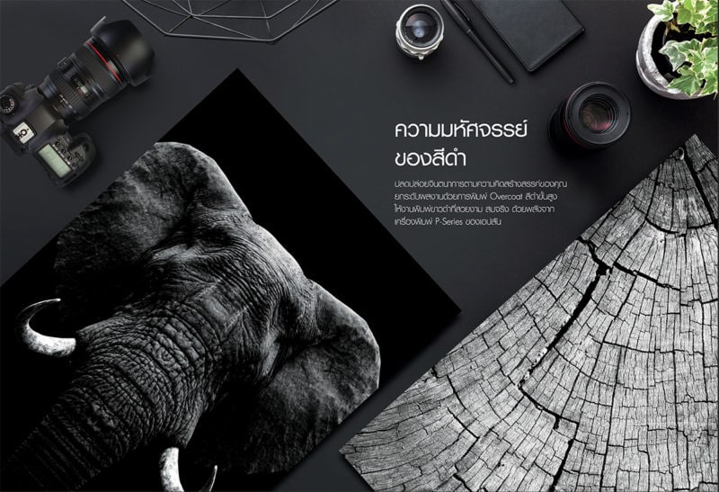 Epson SureColor SC-P903 - V Mount and Trim