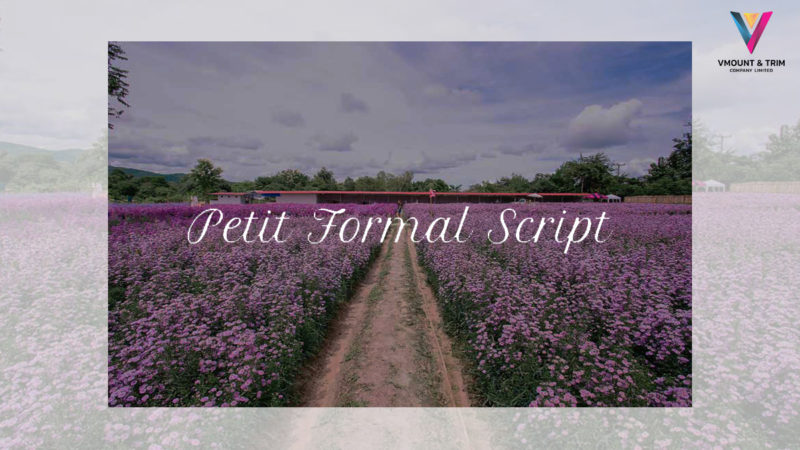 แจกฟรี! 9 ฟอนต์ ทำลายน้ำสำหรับช่างภาพ - V Mount and Trim